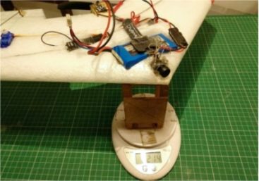 Micro Bee (600MM) FPV Flying Wing - TuffBirds - Super Tough Wings ...