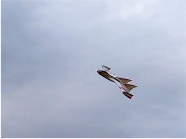 Interceptor -100 Ultra Fast, jet like performance, Full EPP - Vortex-RC