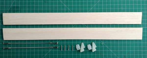 Interceptor -100 Ultra Fast, jet like performance, Full EPP - Vortex-RC