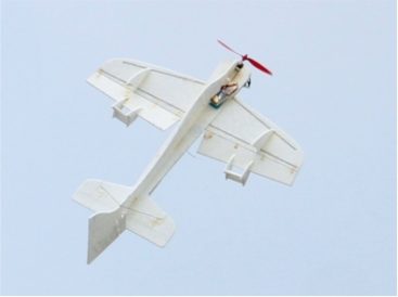EPP 3D Profile, Made of Full Epp a 3D RC plane kit-Vortex-RC